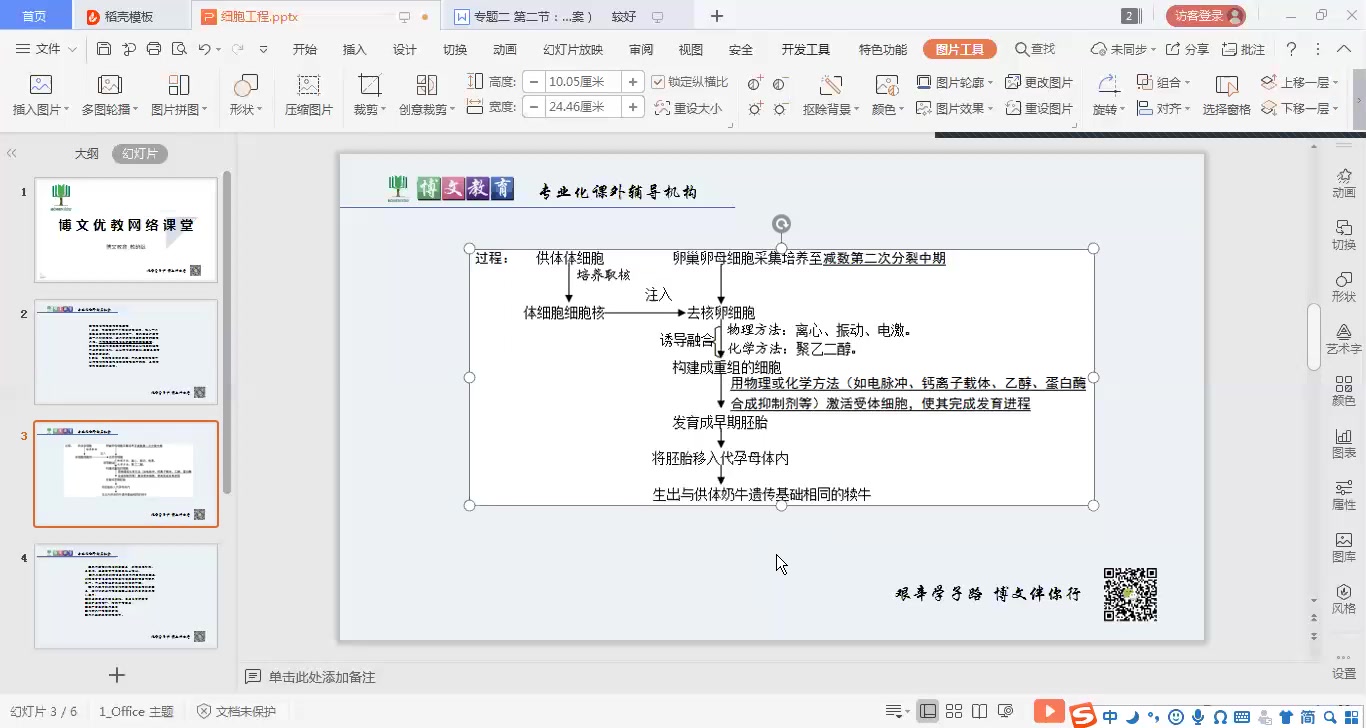【高中生物】选修三第二章动物细胞融合与核移植-盖娜