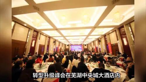 安徽芜湖:"中国电商赋能实体经济 数字转型升级峰会"隆重举办