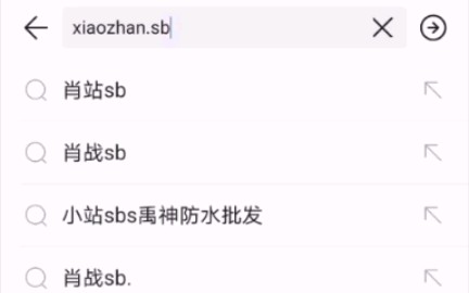 如果在浏览器输入XiaoZhan. SB会发生什么?