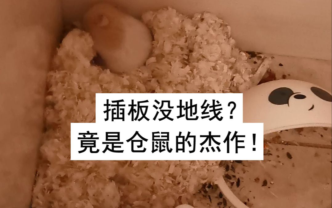 检测电源插板显示“缺地线”?为什么会这样,今天带大家来一探究竟!