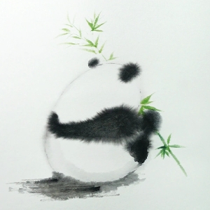 阿席达卡6 