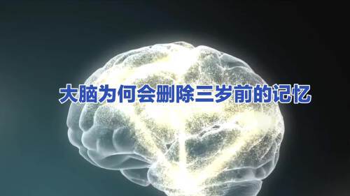 揭开大脑记忆面纱:三岁前记忆消失的科学解释