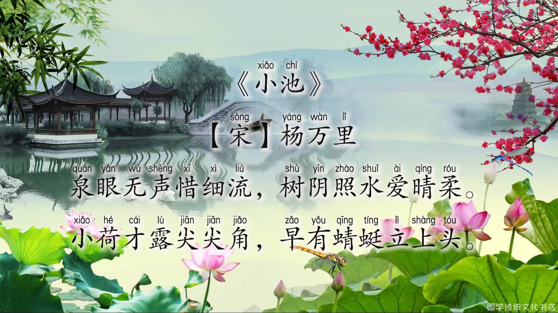 古诗《小池》【宋】杨万里{原文+译文}