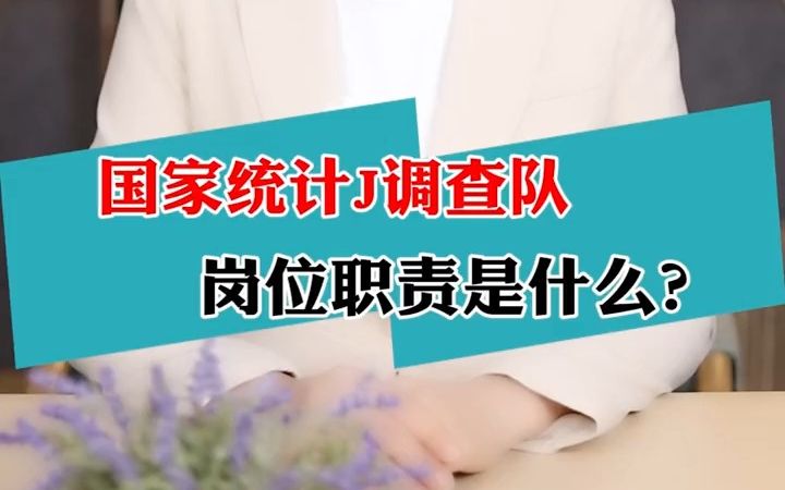 国家统计调查队岗位职责是什么?