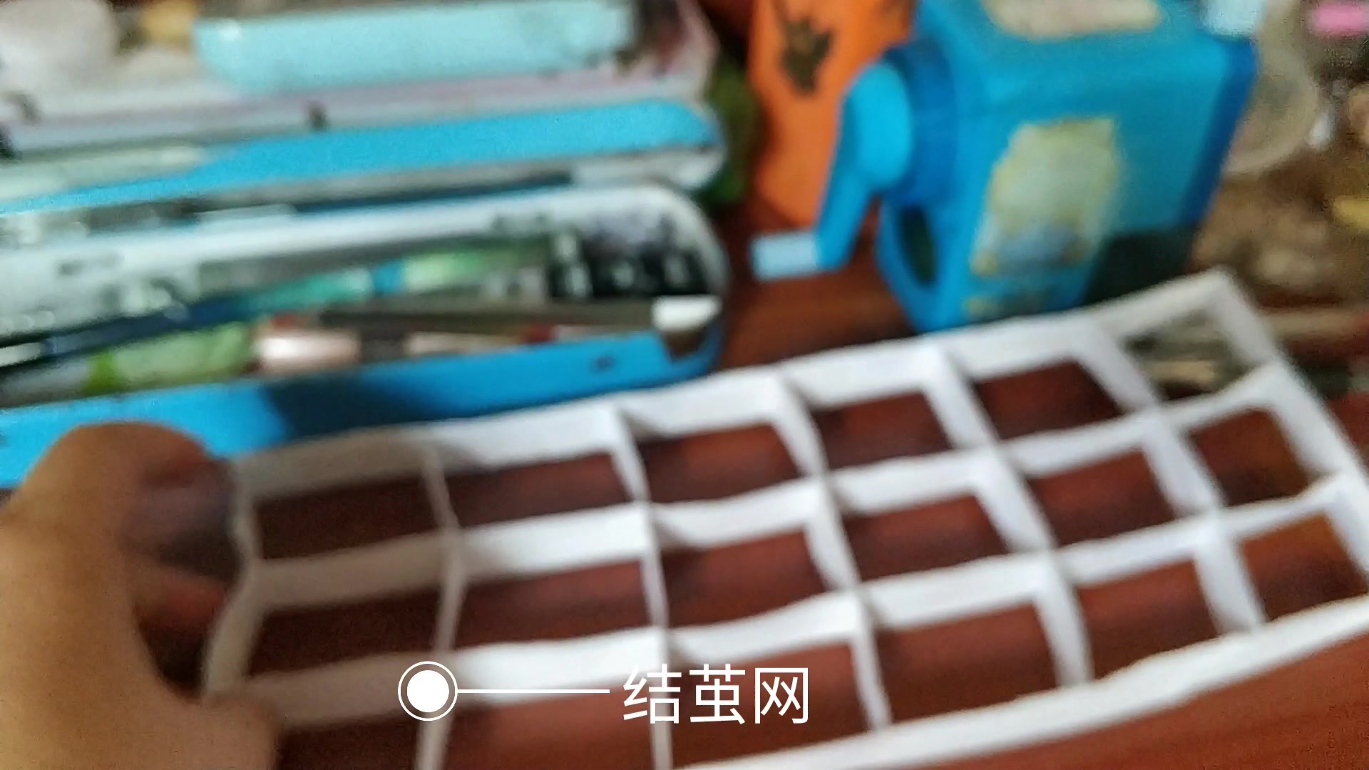兔萌萌的养蚕日记(七)蚕宝宝蜕皮现场准备结茧网的使用