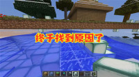 我的世界:终于找到水不流的原因了,把这里清理掉