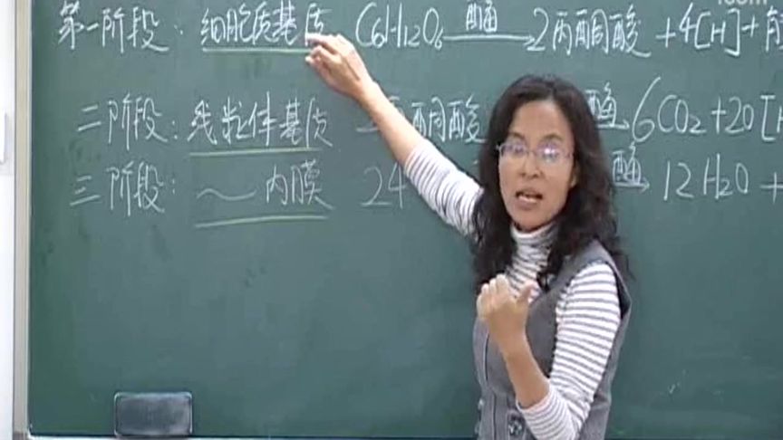 名师生物精讲:第07讲,细胞的代谢(中)2