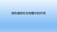 绿色植物的作用