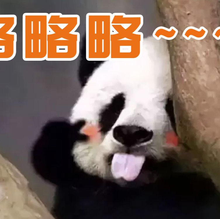 炉子e 