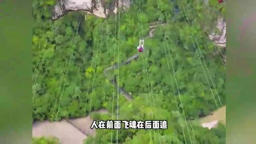 张家界玻璃栈道挑战!你敢走吗?心跳加速的极限体验!