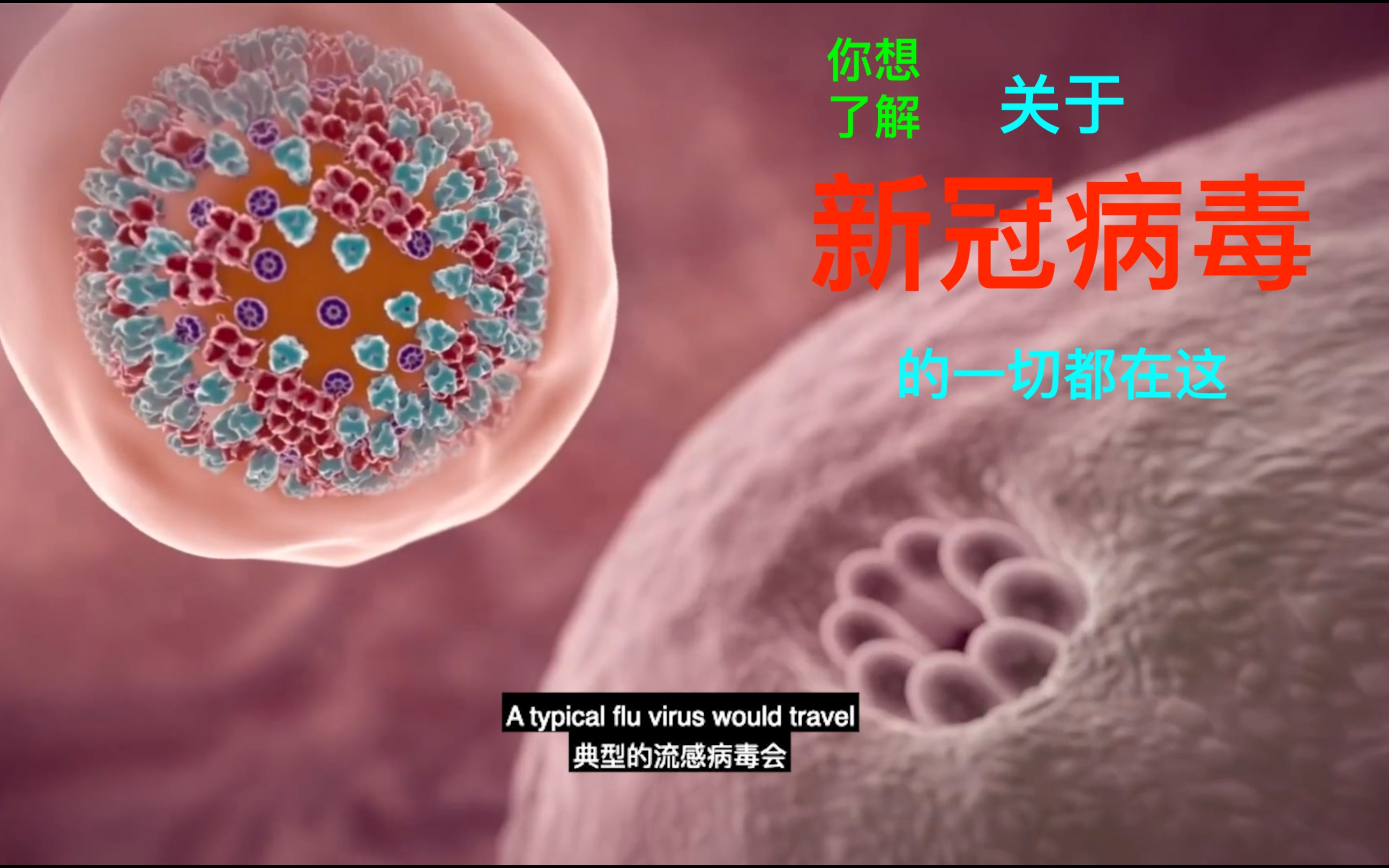 当你感染新冠病毒后.