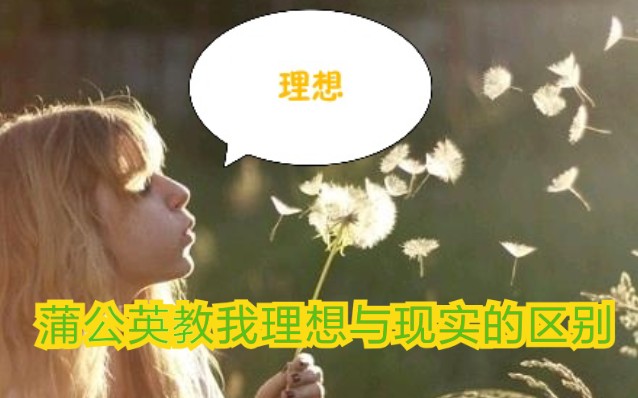 生而沙雕,何必做作。又名蒲公英教我理想与现实的区别