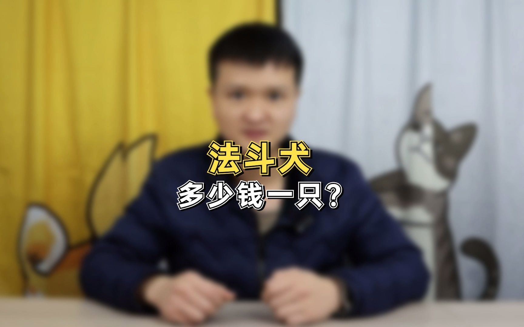 法斗犬多少钱一只?