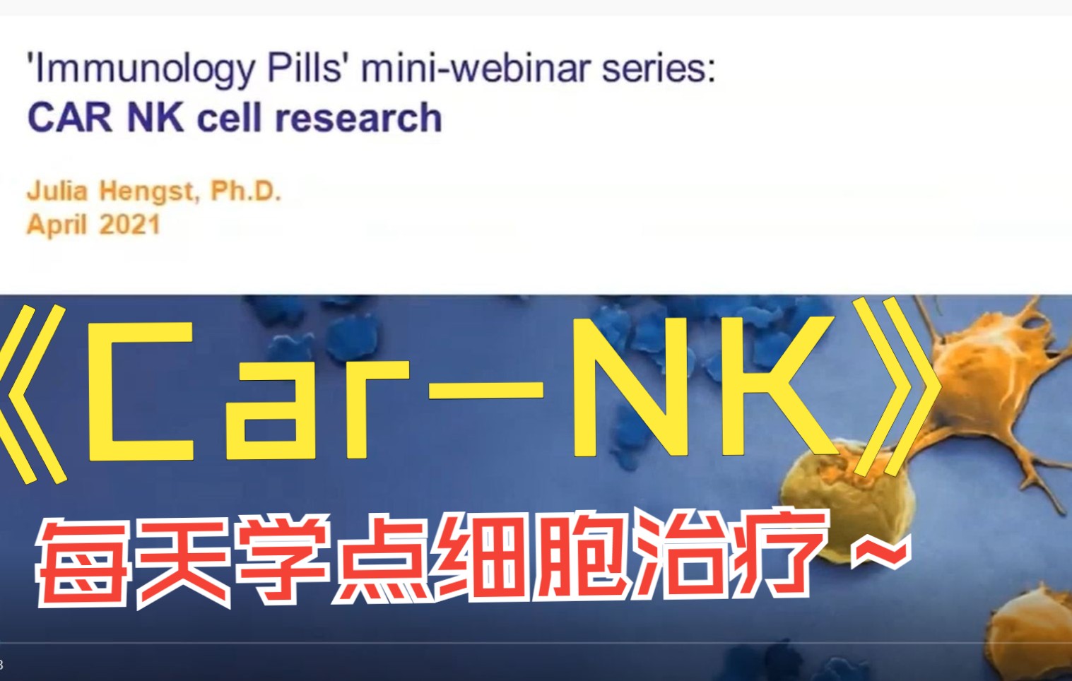 【每天学点细胞治疗42】Car-Nk细胞治疗是什么原理,小短片告诉你