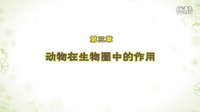 动物在生态系统中的作用