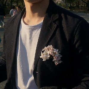 弈星野 