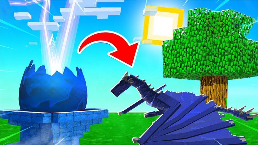 【木鱼】我的世界:挑战五阶电龙,获得龙蛋并成功的孵化!