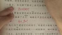 22 我们奇妙的世界