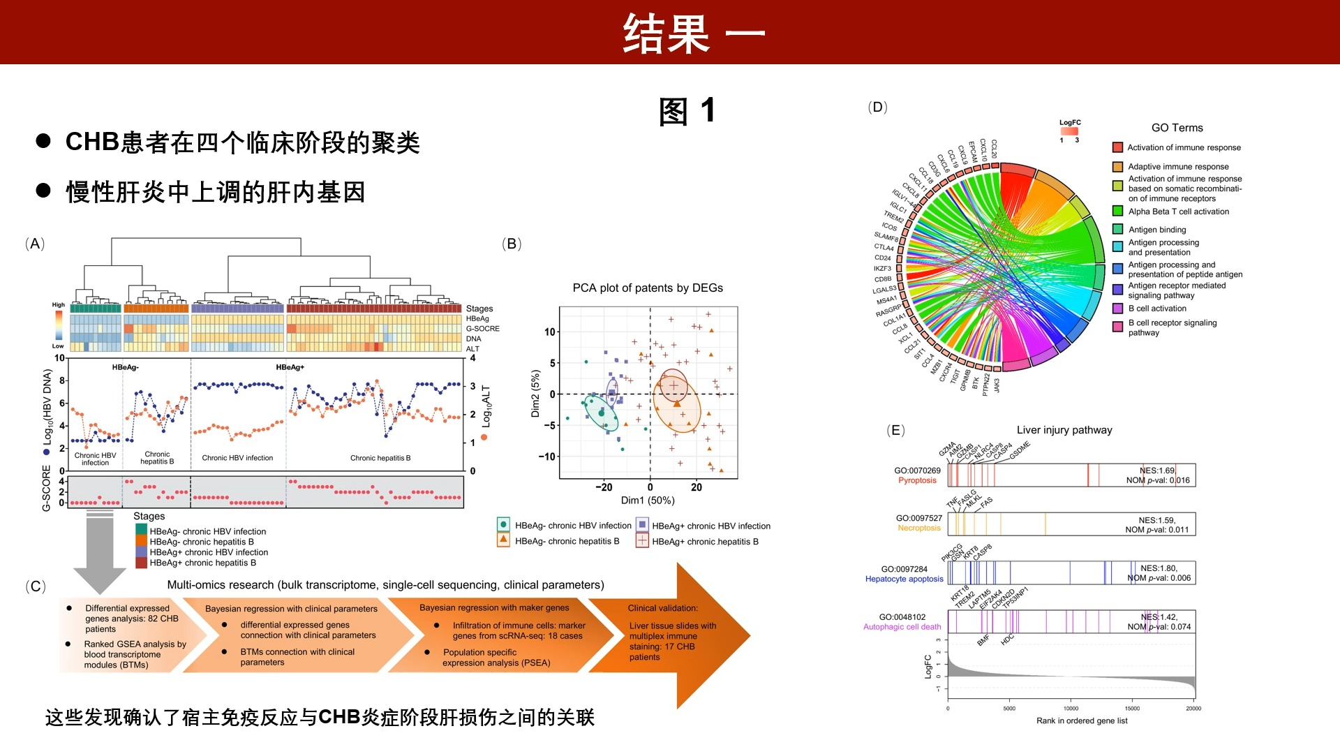 iMeta | 卢洪洲/陆蒙吉/张继明等构建贝叶斯多组学分析模型解析慢乙肝...