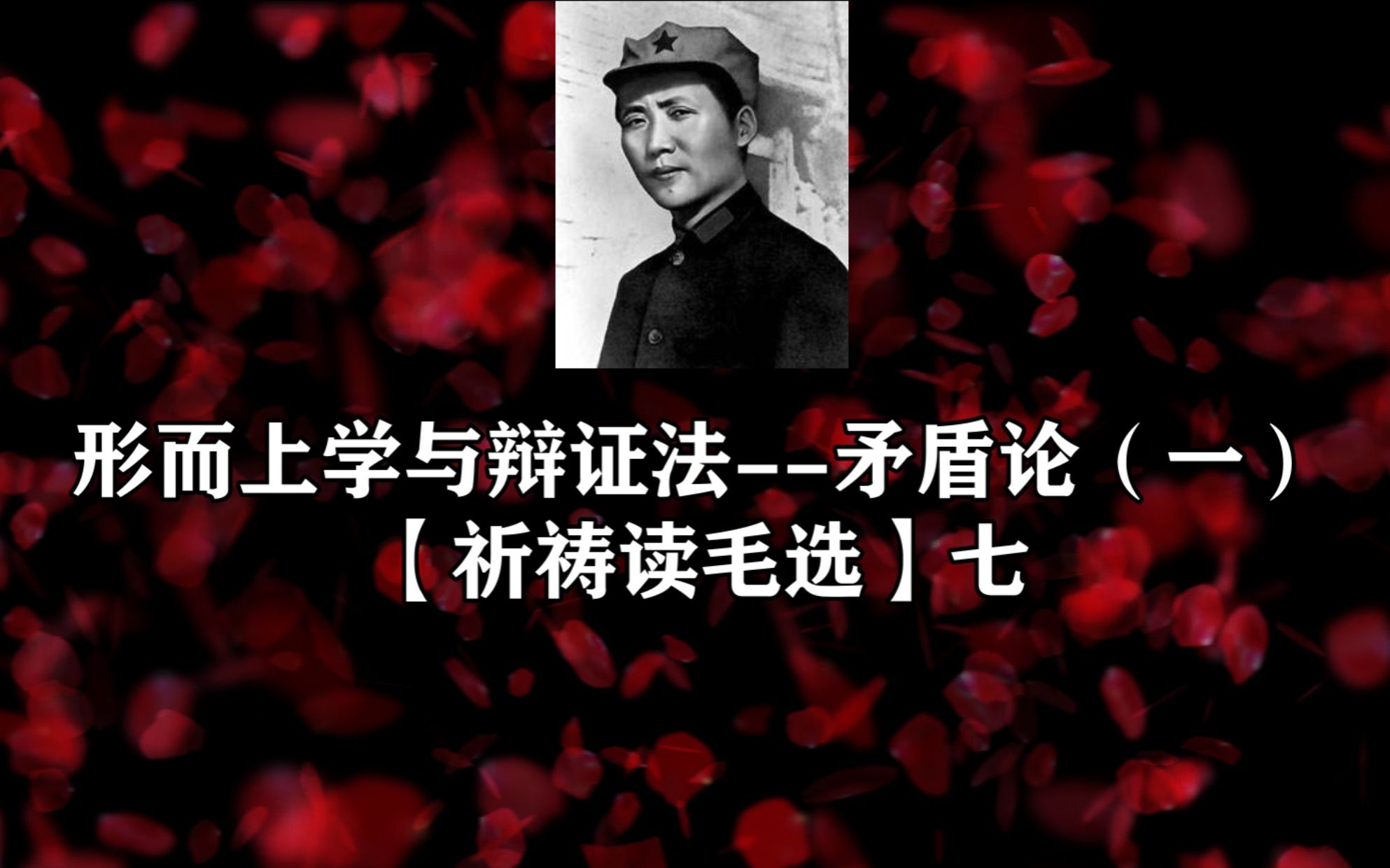 形而上学与辩证法--矛盾论(一)【祈祷读毛选】七