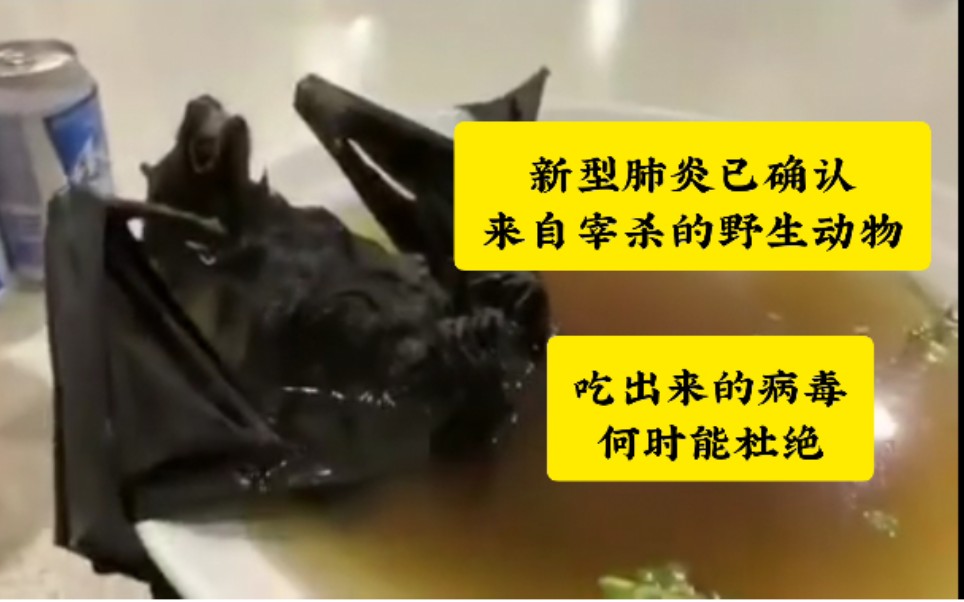 【新型冠状病毒已确认来自野味】吃出来的病毒何时才能杜绝,一次次...
