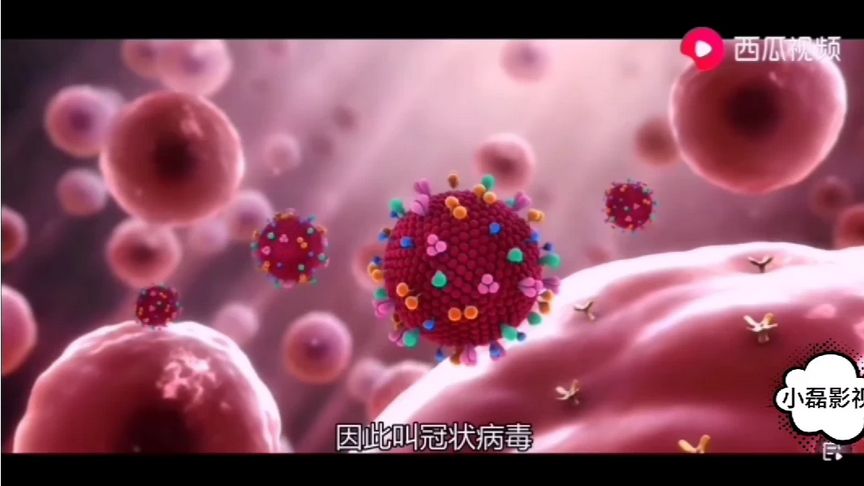 两分钟带你了解,新型冠状病毒怎么形成的。