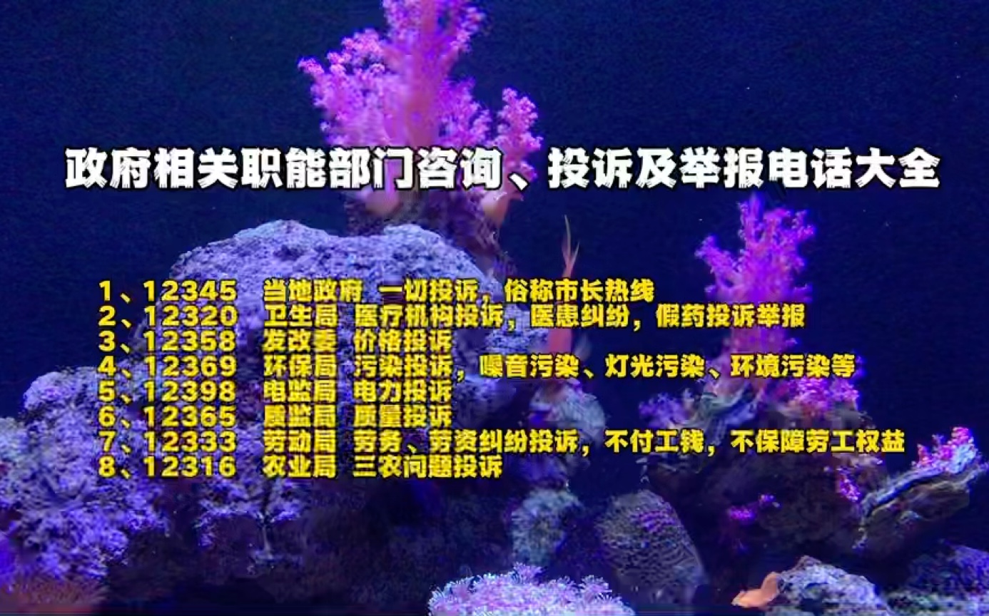 政府相关职能部门及相关国家机关咨询、投诉及举报电话大全