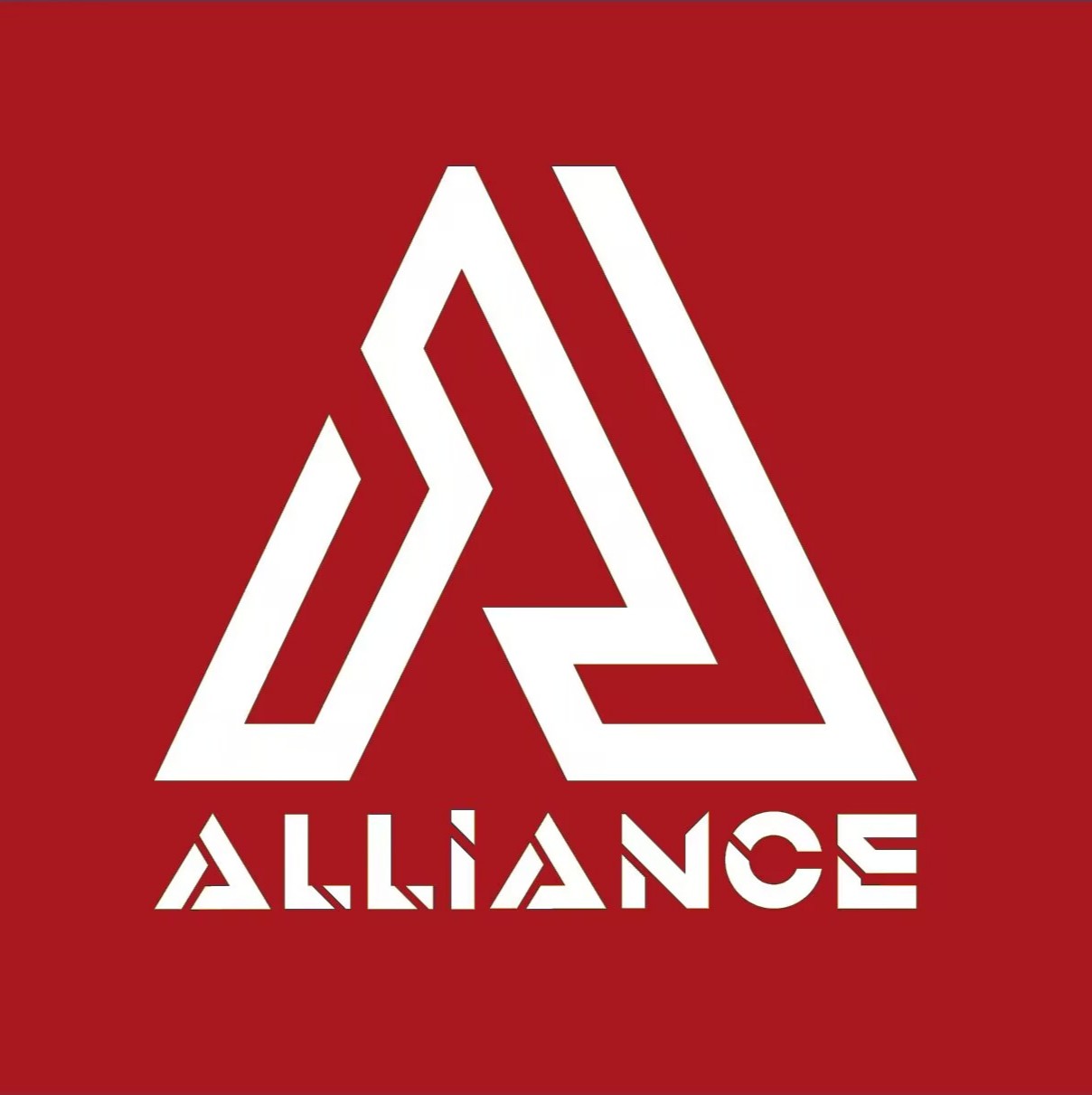 南京理工Alliance战队 