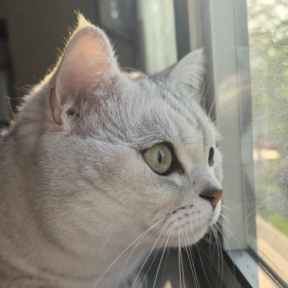 爱吃西瓜的阳哥 