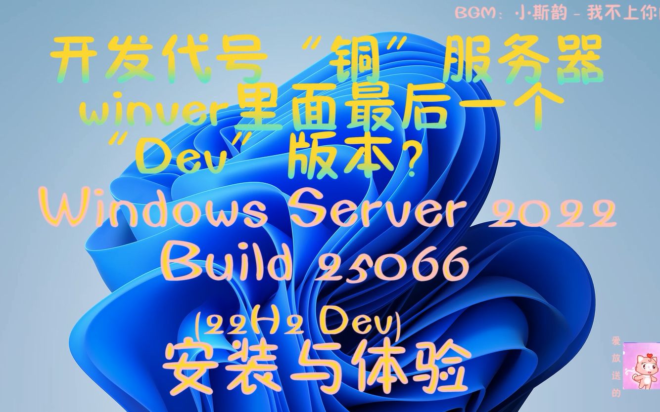 【猫小美/Windows】铜服务器winver最后的Dev版本?Windows Server ...