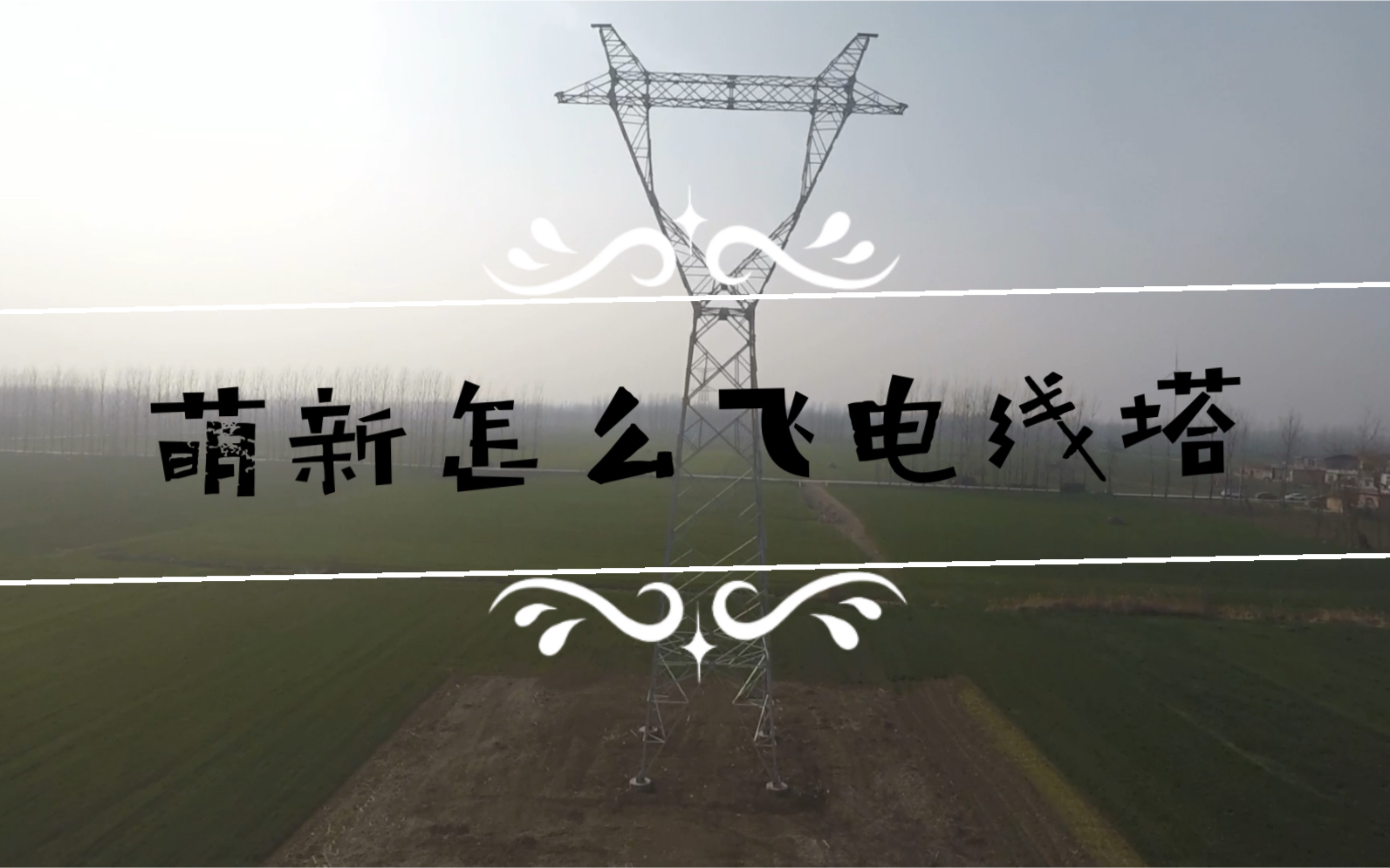 萌新飞电线塔会被喷吗 入坑一个月第一次挂狗 洗桨!洗桨!洗桨!