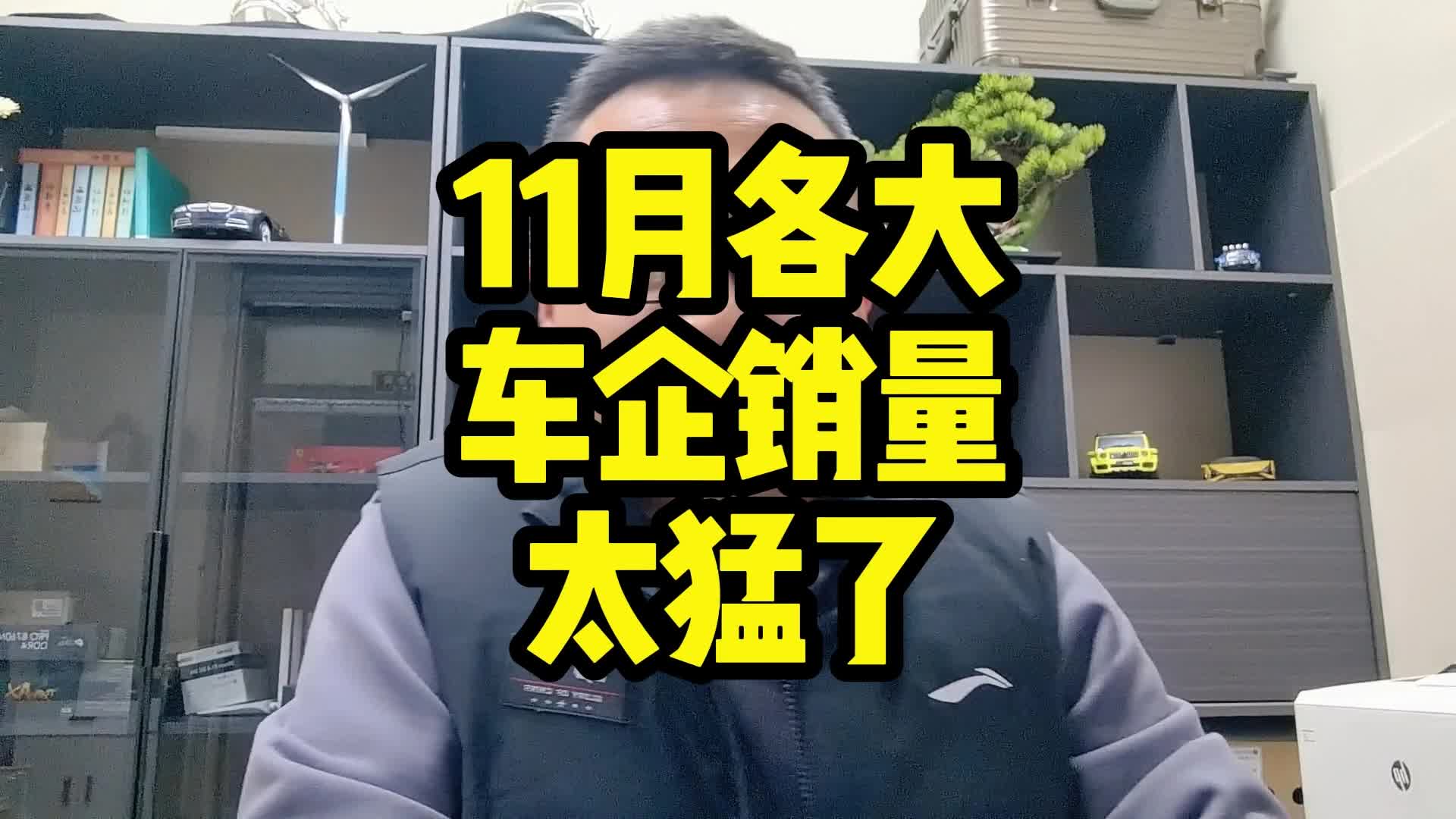 11月各大车企销量,你们觉得怎么样? #汽车销量 #汽车销量排行 #带你...