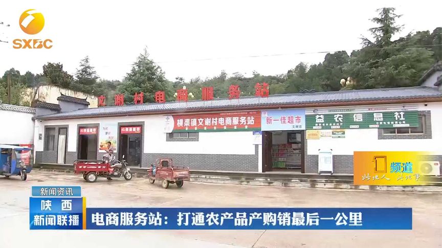 陕西加快推动县域商业体系建设 村里开电商服务站 县里有直播基地