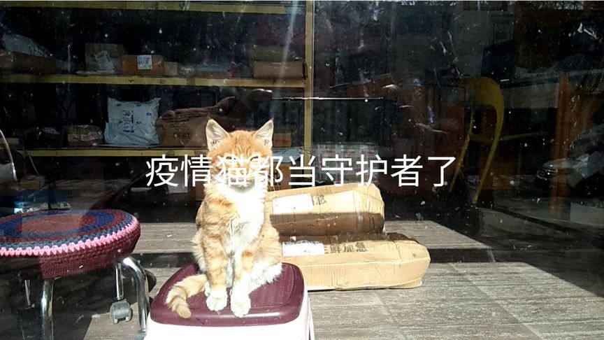 《原创视频》可爱的奉献,为志愿者致敬 !