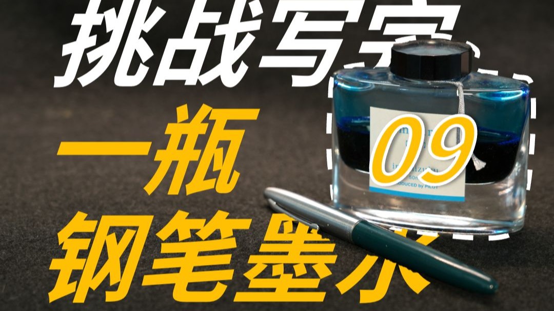 写完一瓶钢笔墨水挑战的进度,终于过半了【09期】