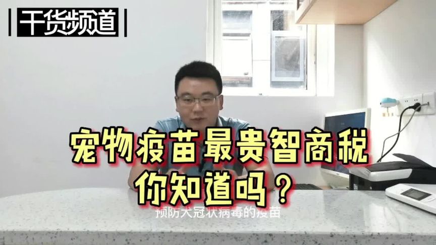 宠物疫苗最贵智商税,你交过吗#涨知识 #科普 #持续关注持续精彩