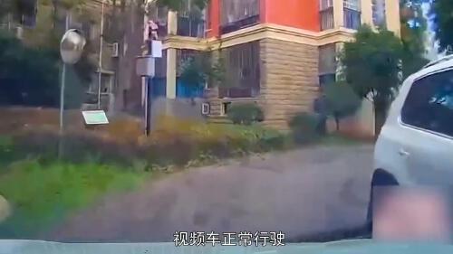 转弯电瓶车差点撞车,直接自己摔车,这反应没谁了