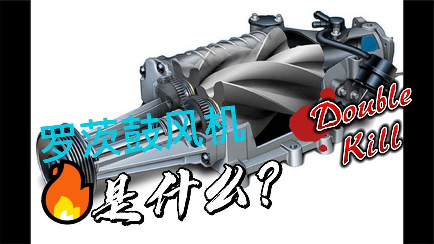 罗茨泵的组成和工作原理