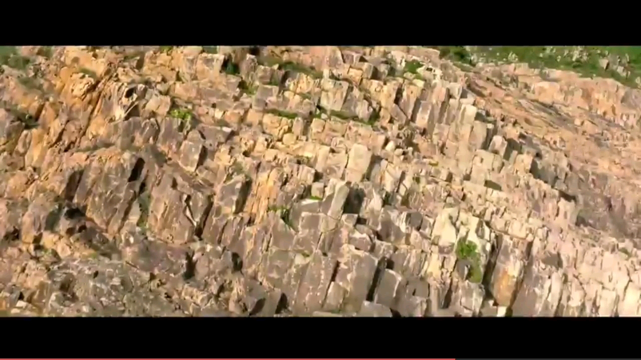 凤凰卫视2023纪录片香港自然故事宣传片