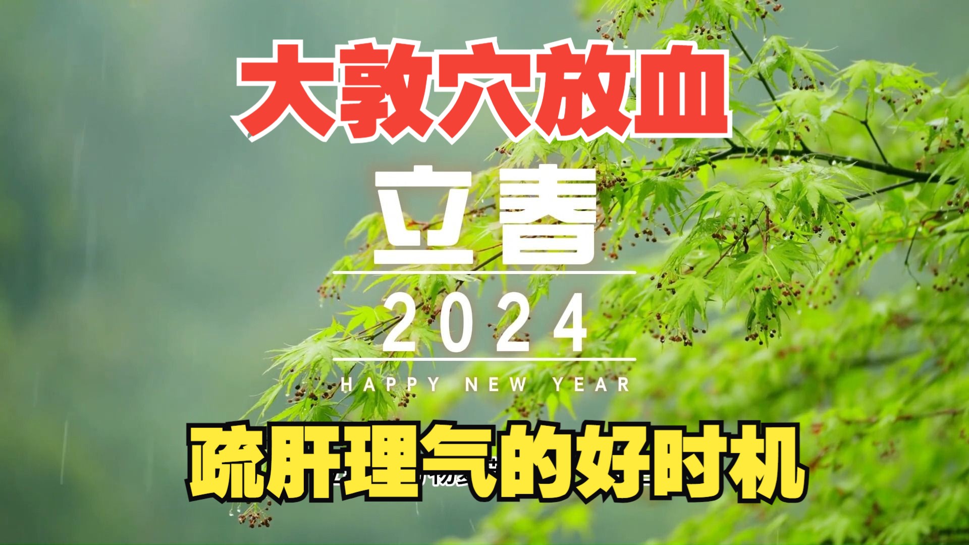 立春:给我破!大敦穴:关我什么事啊,上来就见血。因为今年会不会生病就...
