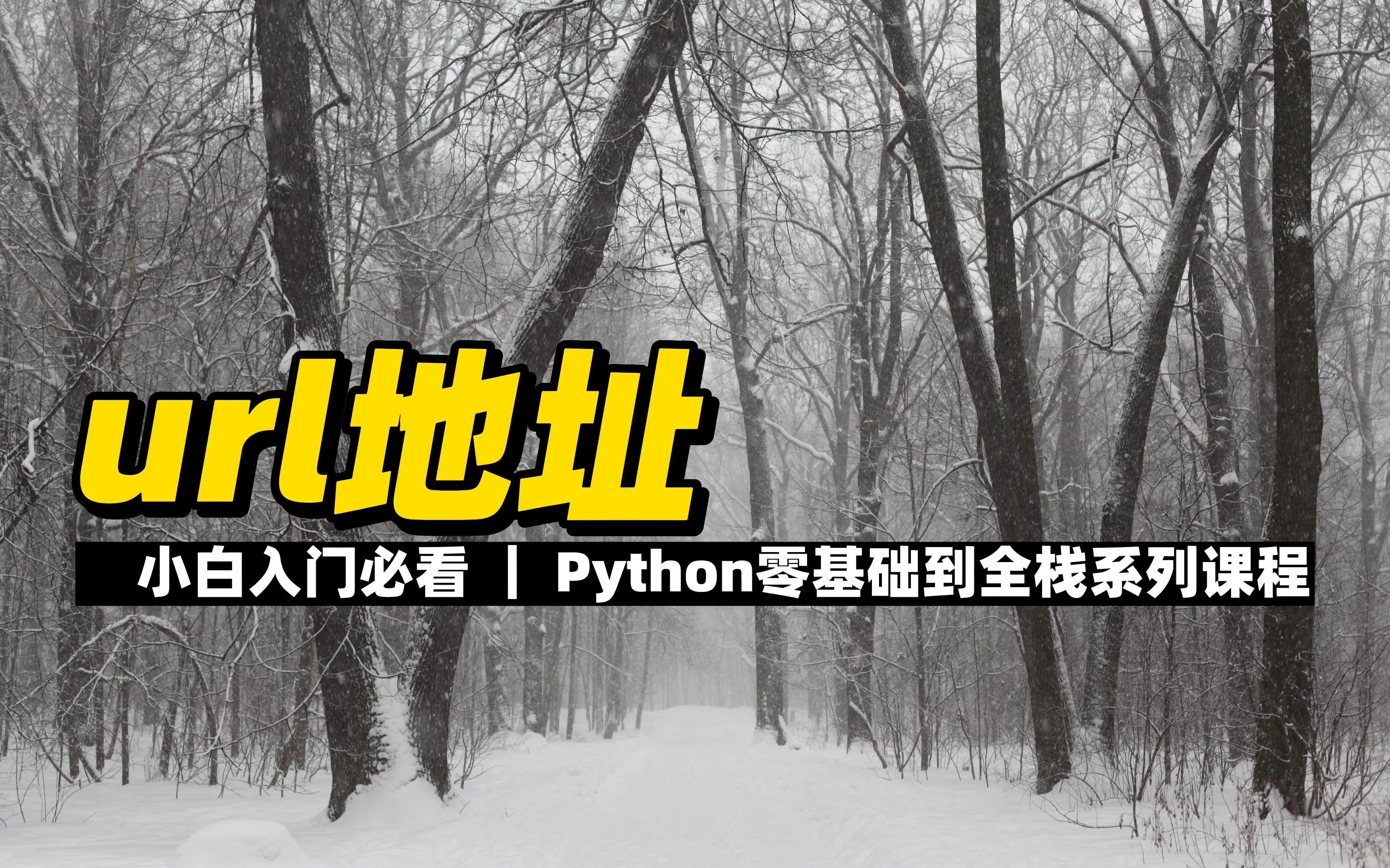 url地址 - 《Python零基础到全栈系列》
