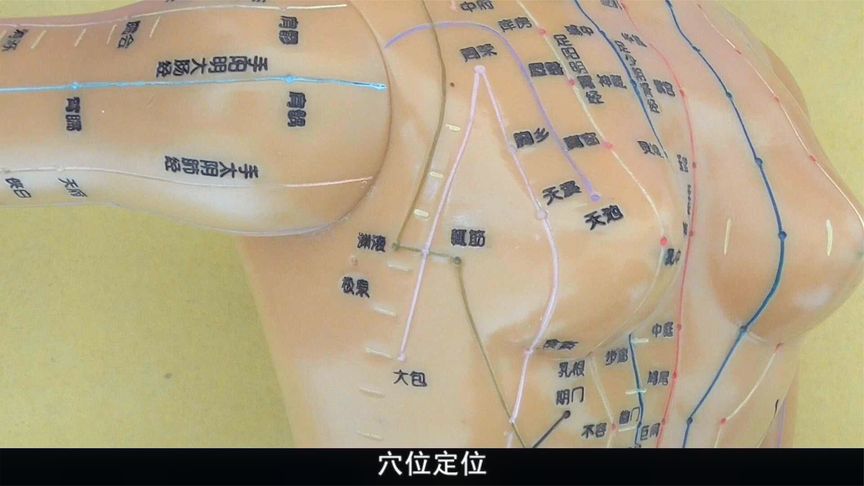 辄筋穴功效:降逆平喘,理气止痛。长期按摩可改善哮喘,流涎等