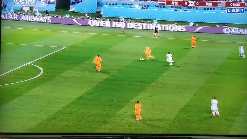 卡塔尔世界杯荷兰对美国