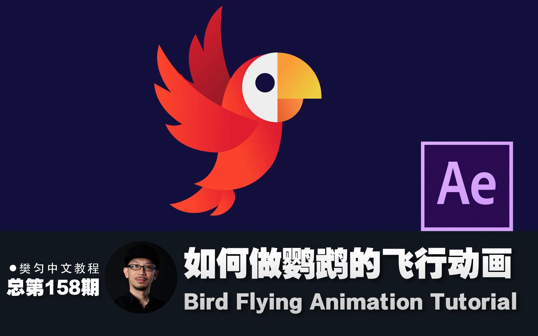 158-动态图形设计-如何用AE制作鹦鹉飞行动画