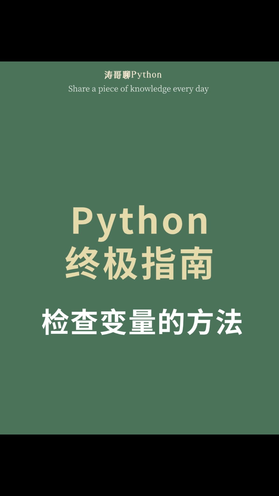 Python终极指南:检查变量的方法