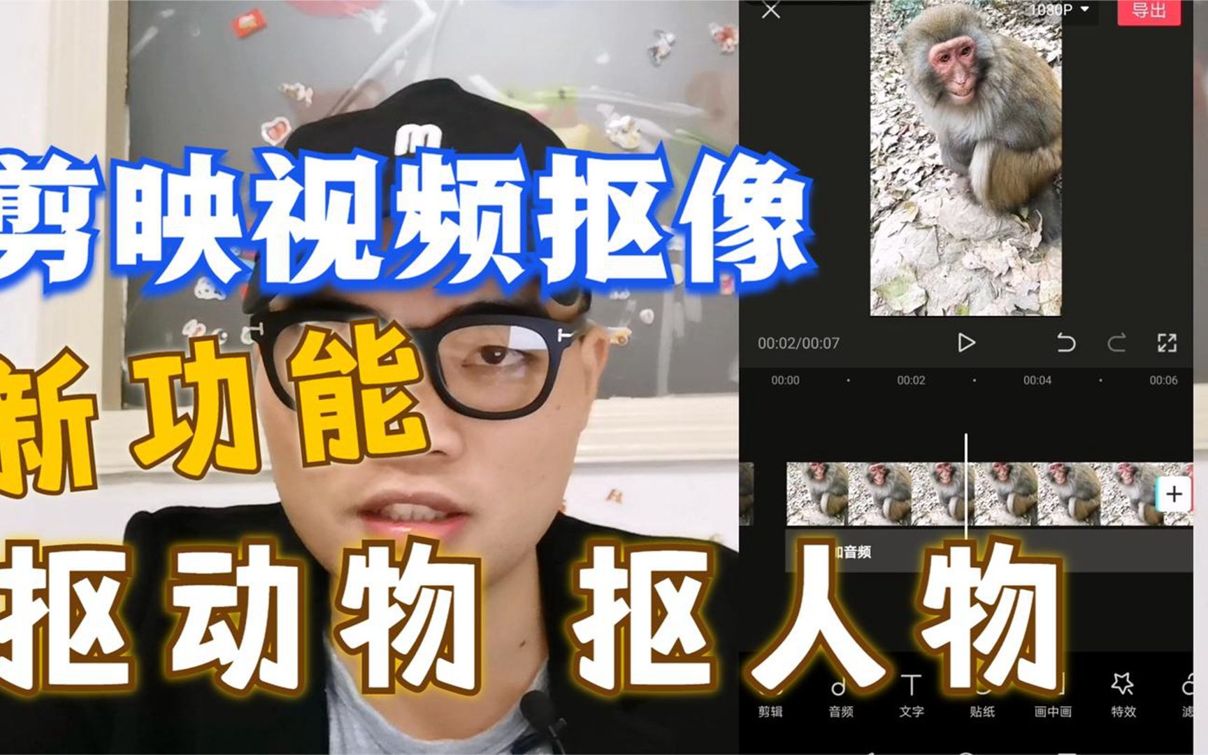 剪映也出智能抠像了,演示抠动物与人物的效果,再也不用付费了