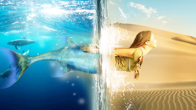 PS从入门到精通 第一章 入门基础9:设定图像和画布大小