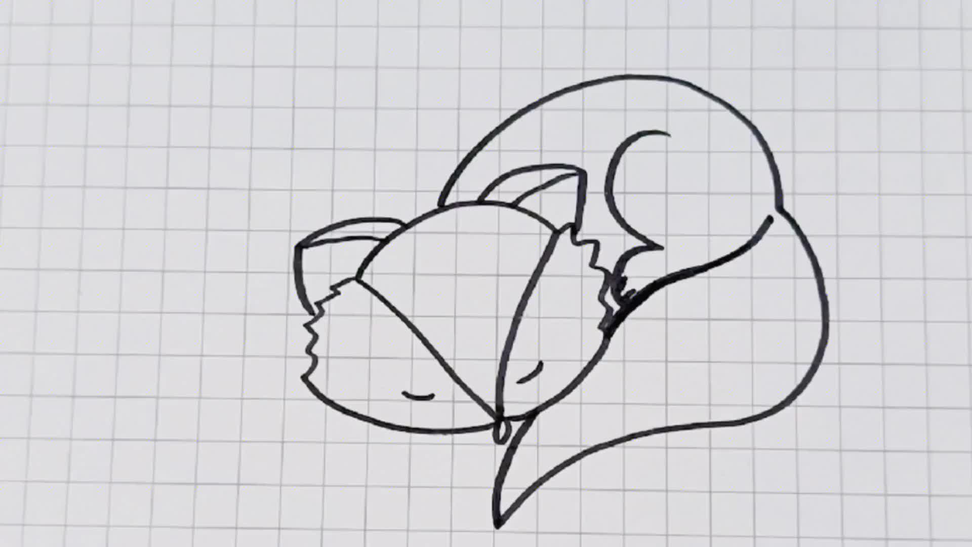 简单几笔就能画的狐狸画法