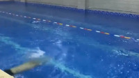 自由泳翻滚转身教程