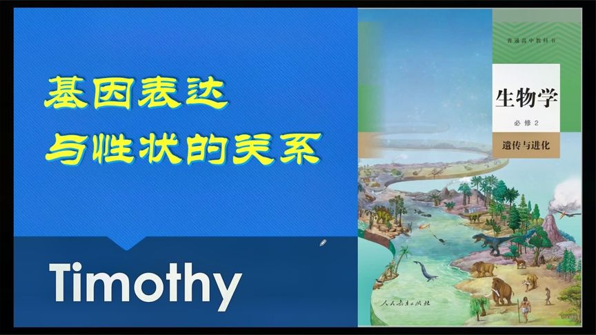 【必修2】4.2-1基因表达和性状的关系 高中生物网课表观遗传